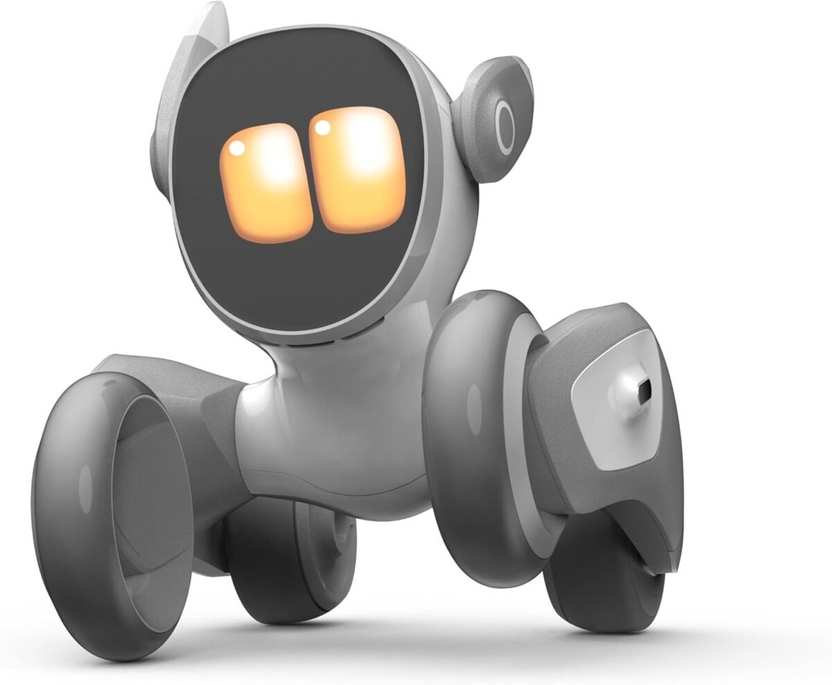 Robotics – SuperOrNot